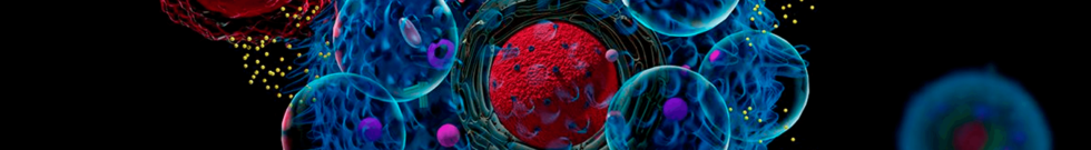 Máster en Microbiología, Parasitología e Inmunología Humana, Mst. | UPE